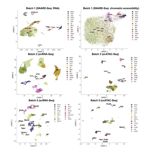 Figure S9 Umap Visualization Of 6 Data Matrices In Mouse Brain Cortex