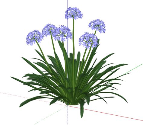 Downloaded Components Do Not Appear Fully In Model Sketchup