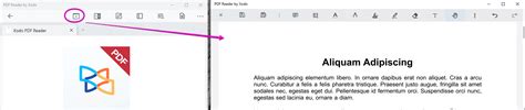 Xodo Subscription For Windows Open An Extra Window Xodo