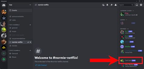 How To Create Reaction Roles For Discord Using Carl Bot