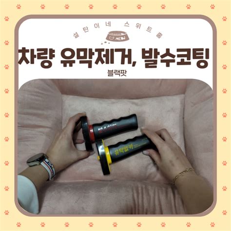 블랙팟 자동차 유막제거제와 발수코팅제 유막없카 발수하카 네이버 블로그