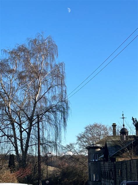 My Biggest And Nicest Surprise Of 2024 Has Been Finding Out How Much The Team Love Trees As A