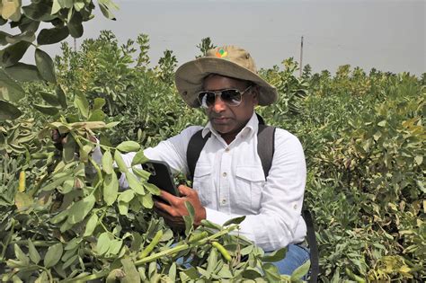 Platform For Big Data In Agriculture Cgiar