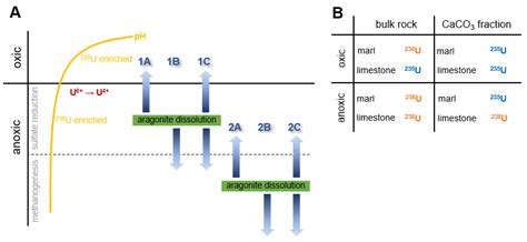 A Using Uranium Isotopes The Cases 1 And 2 Should Be Distinguishable Download Scientific