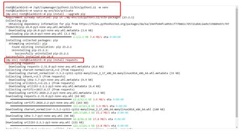 python in ispmanager add sites with the django framework or work with