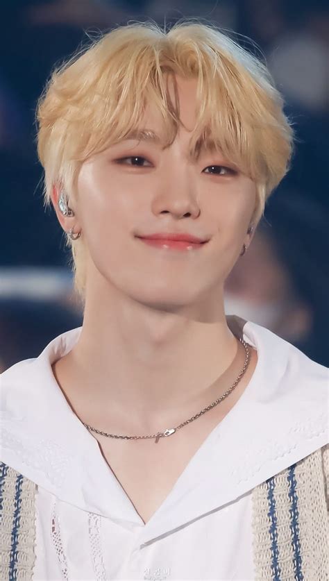 Dino ~ Caratland 2023 D 2 Em 2023 Seventeen Integrantes Dezessete Jeonghan