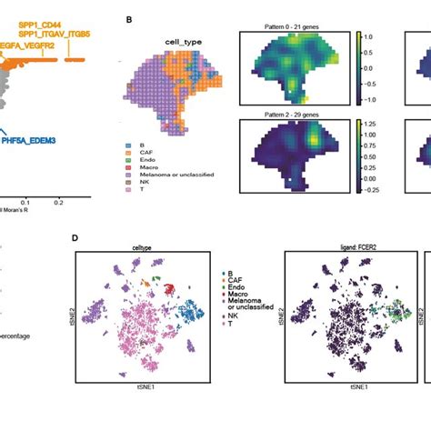 Spatialdm Detects Spatially Co Expressed Lrs In Melanoma Data And Download Scientific Diagram