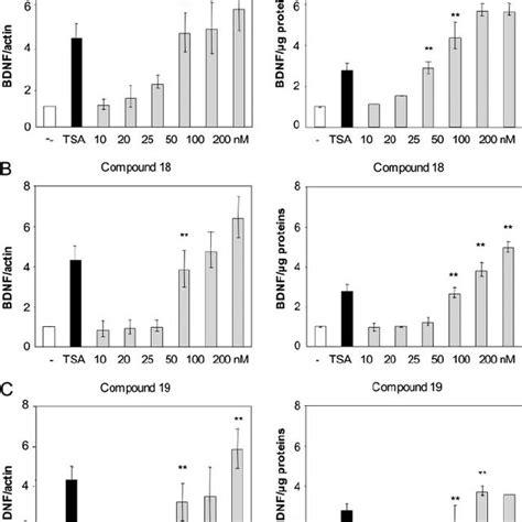 Secondary Assay Compound Effects On Endogenous Bdnf Mrna And Protein