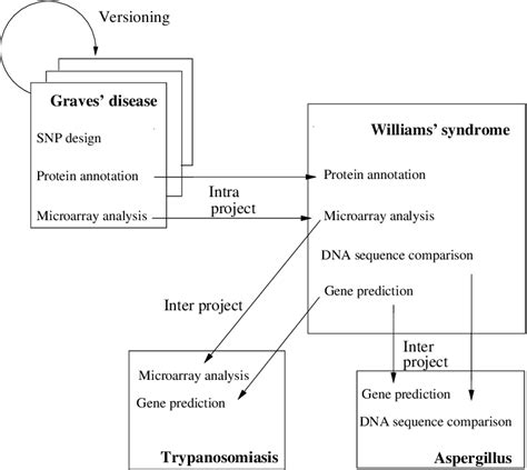 Different Types Of Workflow Reuse Illustrated By A Scenario From