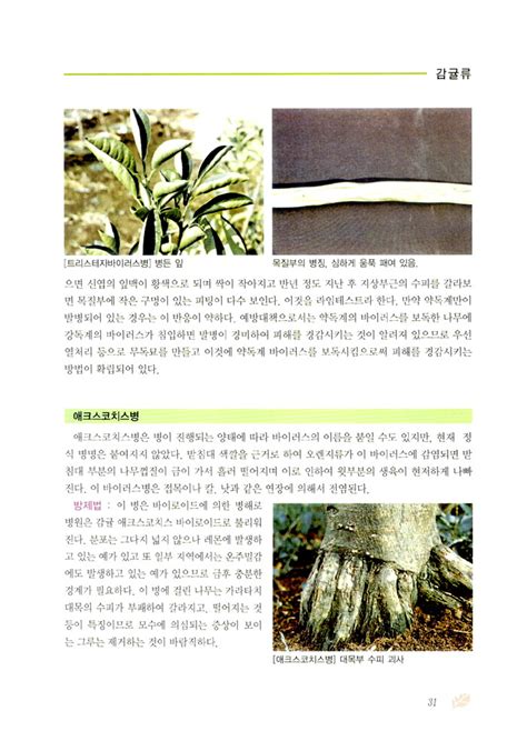 알라딘 미리보기 작물 병해충방제도감