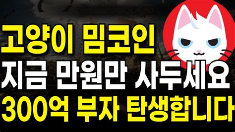 만원으로 300억 부자가 될 수 있을까 고양이 밈코인만 사두세요 코인추천 밈코인 Youtube