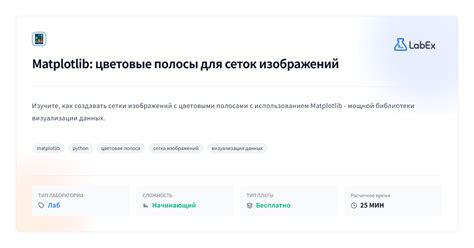 Создание сеток изображений с цветовыми полосами в Matplotlib Labex