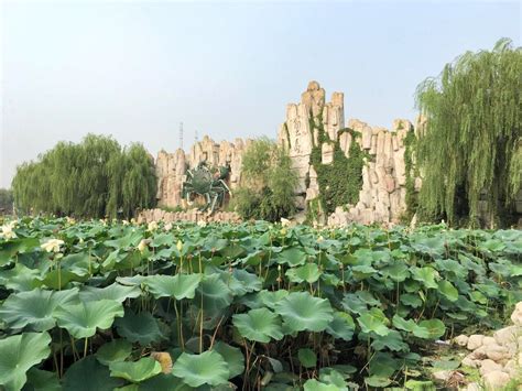 2022蟹岛绿色生态度假村玩乐攻略 作为绿色生态度假村蟹岛提 去哪儿攻略