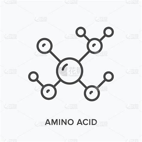 氨基酸平线图标。结构式矢量轮廓图。黑色细线型象形图表示分子