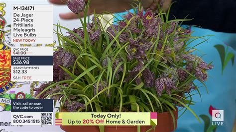 q the real talk with jayne and pat you are watching q the real talk with jayne and pat on qvc