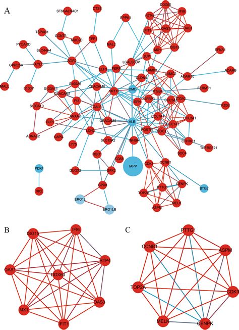 ppi network constructed and module analysis using string and cytoscape