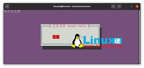 如何在 Ubuntu 上安装 Sql Server 和 Sql Server Cli 工具 Linux迷