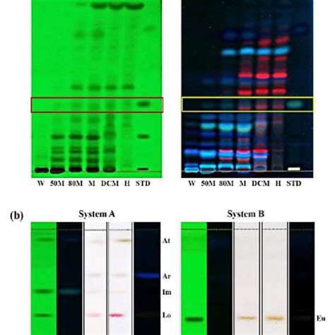 A Tlc Patterns Of Cp Extraction With Water W 50 Methanol 50m Download Scientific