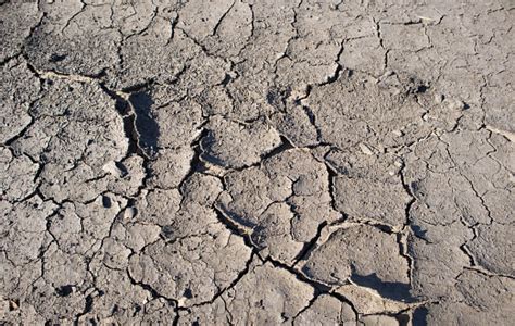 Fondo De Tierra Seca Agrietada Tierra Seca Textura De La Tierra Tierra