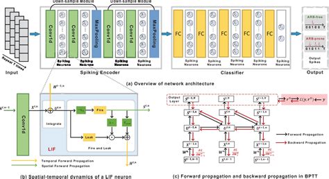 Figure 1 From Mitigating Overfitting For Deep Learning Based Aging
