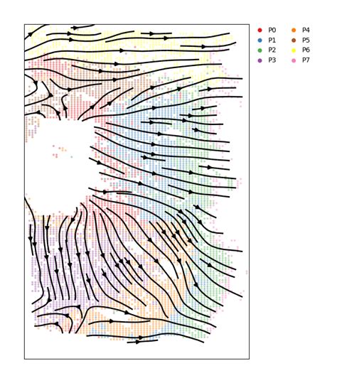 Apply Spatrack On Spatial Data Of Intrahepatic Cholangiocarcinoma Cancer Stereopy