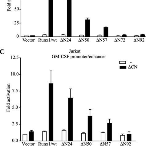 Effects Of N Terminal Deletions On Transactivation By Runx1 A