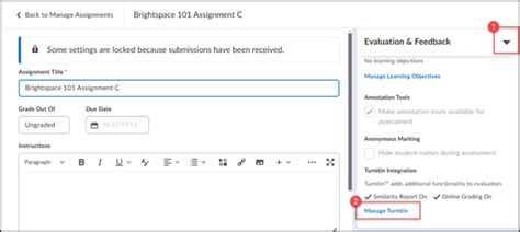 Turnitin Assignment Integration Student Submission And Grading Usc Brightspace Help