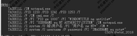 Windows查看端口占用，杀掉进程windows端口占用查看命令 杀掉 Csdn博客