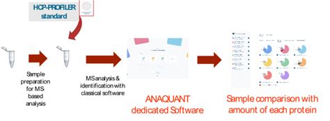 Impact Of The Upstream Process On Total Amount And Individual Amount Of Hcp In The Final Drug