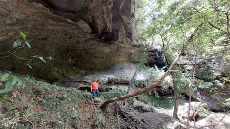 平溪區 東勢格越嶺古道 咸豐嶺古道 臭頭山 白石後仙洞O型 健行筆記