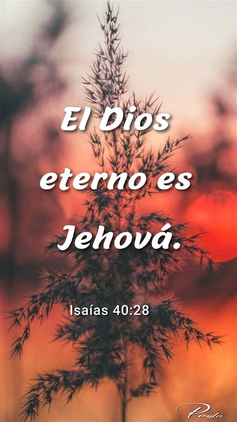 Isaías 4028 Libro De Isaias Palabras De Sabiduria Versículos Bíblicos