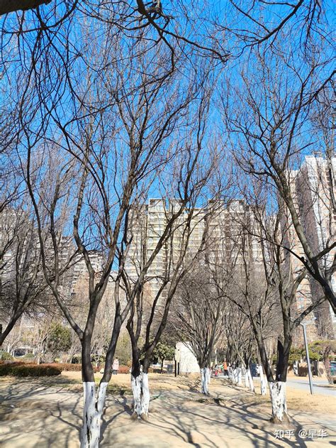 人工智能效果依赖，数据集，人工经验，深度学习网络 知乎