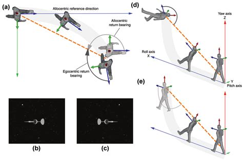 Schematic Depiction Of Strategy Differences In The Path Integration Download Scientific Diagram