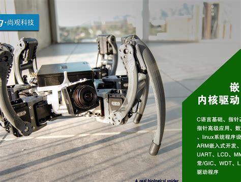 嵌入式开发ARM嵌入式系统概念解析