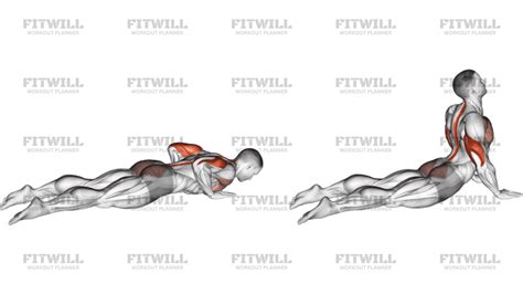 Negative Push Up Exercise Guide Techniques Benefits How To Muscles
