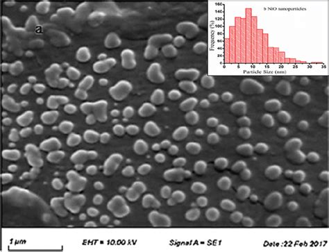 Sem Micrographs A And Histogram B Showing The Distribution Of Nio
