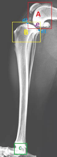 Example Of Manual Annotations Highlighting The Regions Of Interests 9