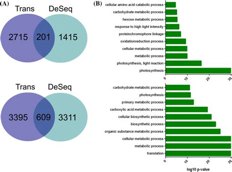 A Venn Diagram Of Deg From Deseq And Transcriptomic Analysis Trans