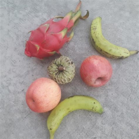 Minhutsenpai Gmail Com Roboflow Universe