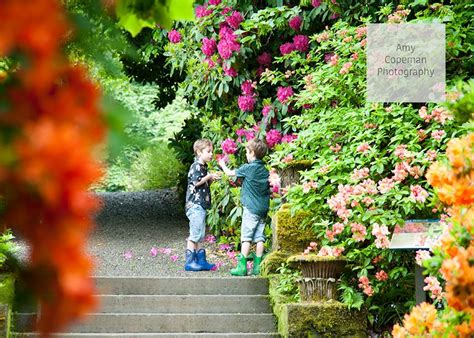 Amy Copeman Photography