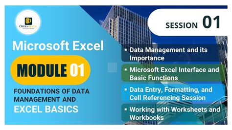 Module 01 Session 01 Data Management And Microsoft Excel Basics Beginners Guide