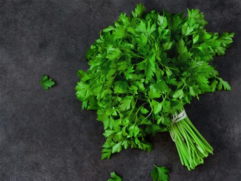 Parsley Nutrition Benefits And Uses Organic Facts