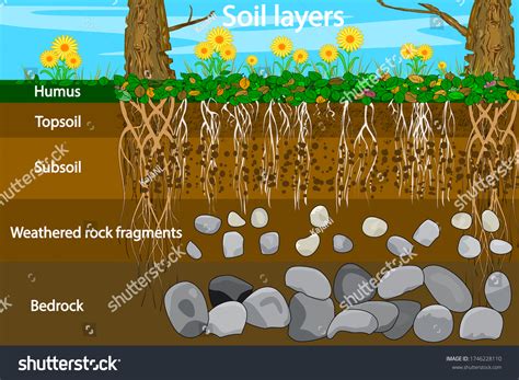Soil Layers Diagram Layer Soil Soil Stock Vector Royalty Free 1746228110 Shutterstock