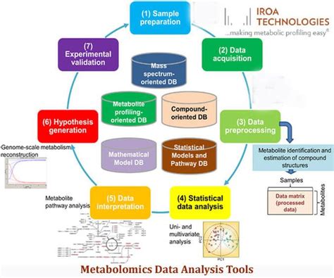 Metabolomics Data Analysis Tools Advancing Metabolomics Research