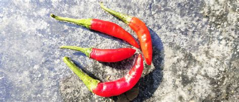 복사 공간이있는 독특한 회색 흰색 배경에 매운 붉은 칠리 페퍼의 최고 보기 0명에 대한 스톡 사진 및 기타 이미지 0명