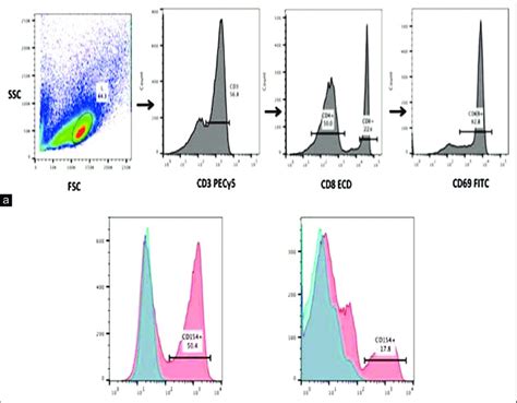 Cell Surface Expression Of Cd40l Cd154 On Cd3 Cd4 T Cells From