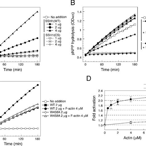 Effects Of F Actin On The Pnpp Phosphatase Activity Of Ssh1 Download Scientific Diagram