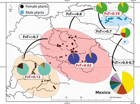 Population Genomics And Phylogeography Of A Clonal Bryophyte With