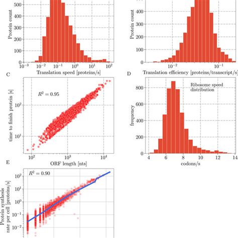Codon Usage Metrics CAI And TAI Against Modelled Protein Synthesis Download Scientific