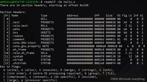 从零学习开发一个risc V操作系统（二）丨gcc编译器和elf格式riscv Gcc Csdn博客